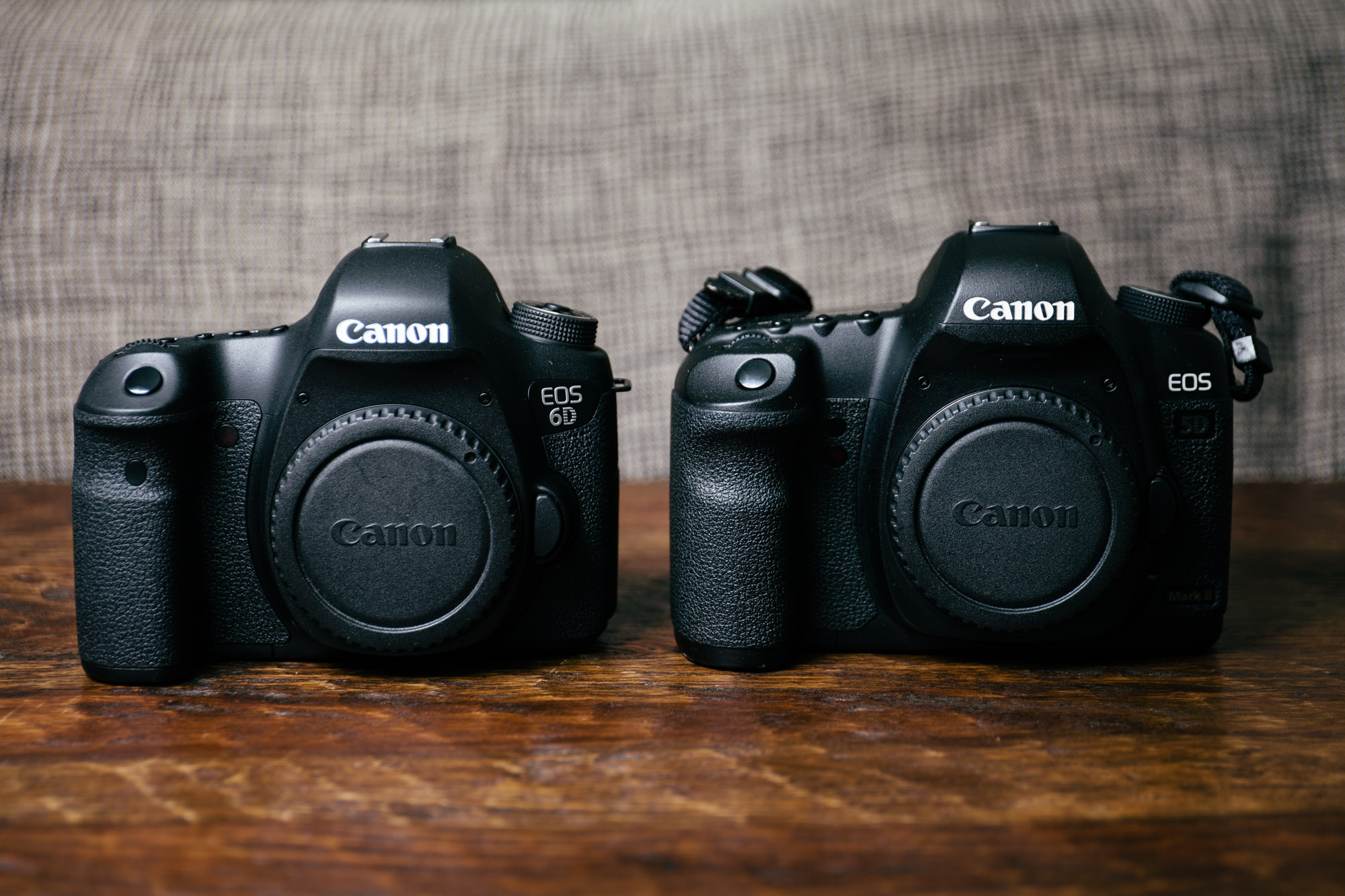 Eos 5d Mark Iii Vs 6d Ltholoser Eos 5d Mark Iii Vs 6d Ltholoser