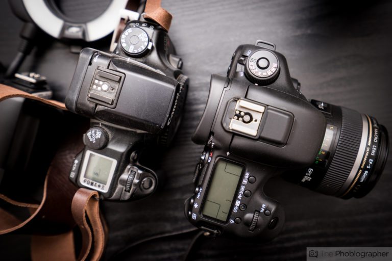 The 6 Best Canon DSLRs to Purchase Today