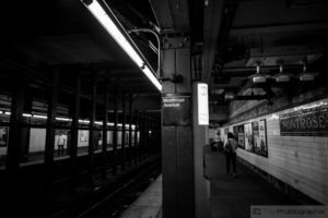 Review: RNI Film All Films 4.0 Pro (Adobe Lightroom Presets)