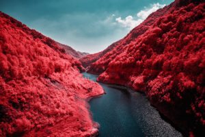 6 Photographers Share Their Beautiful Infrared Photography