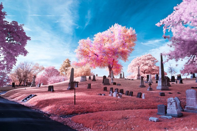 Jack Seikaly: Digital Infrared Photography Influenced by Kodak Aerochrome
