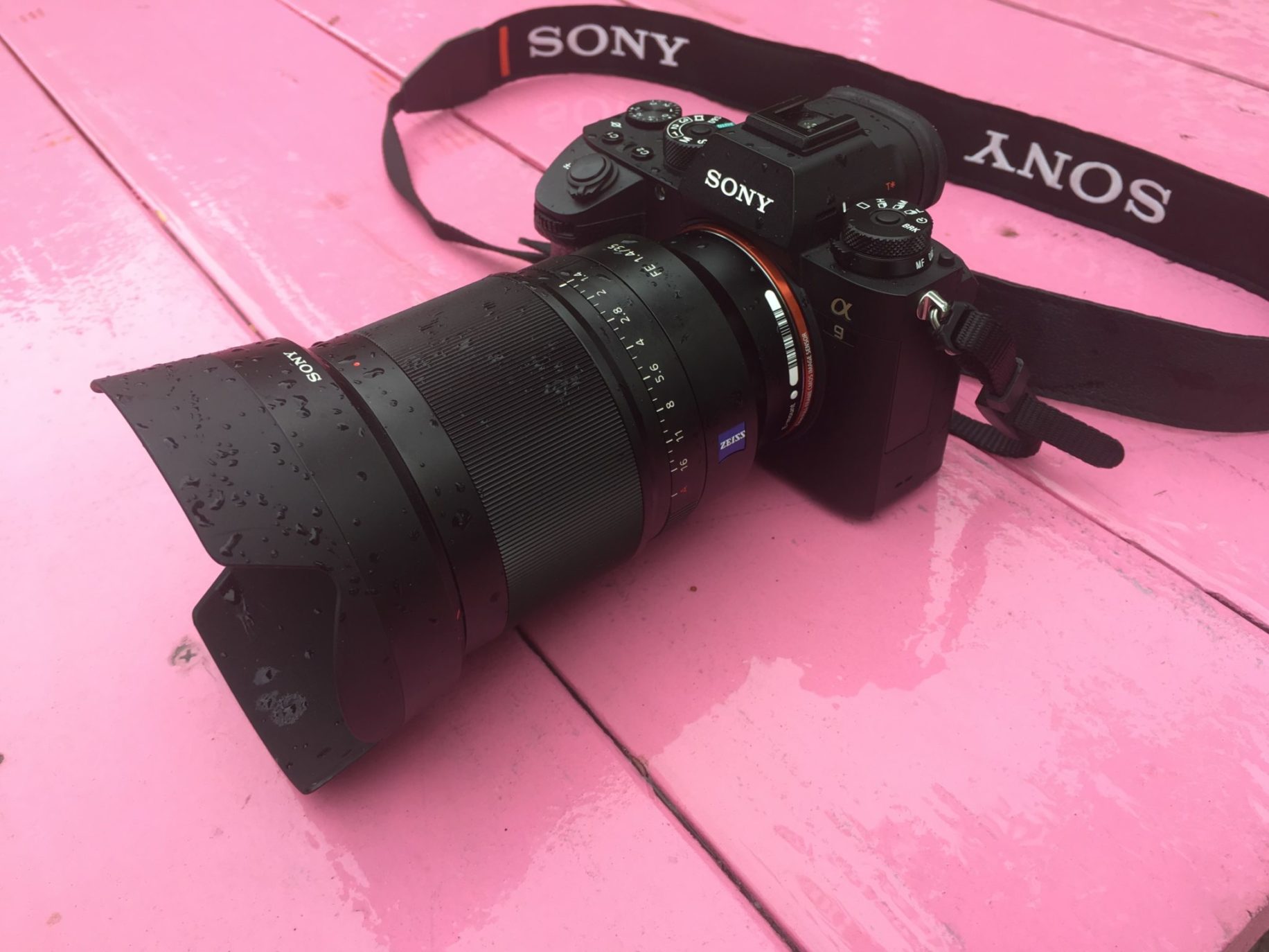 Review: Sony a9 (The Camera for Photojournalists and Sports Shooters)