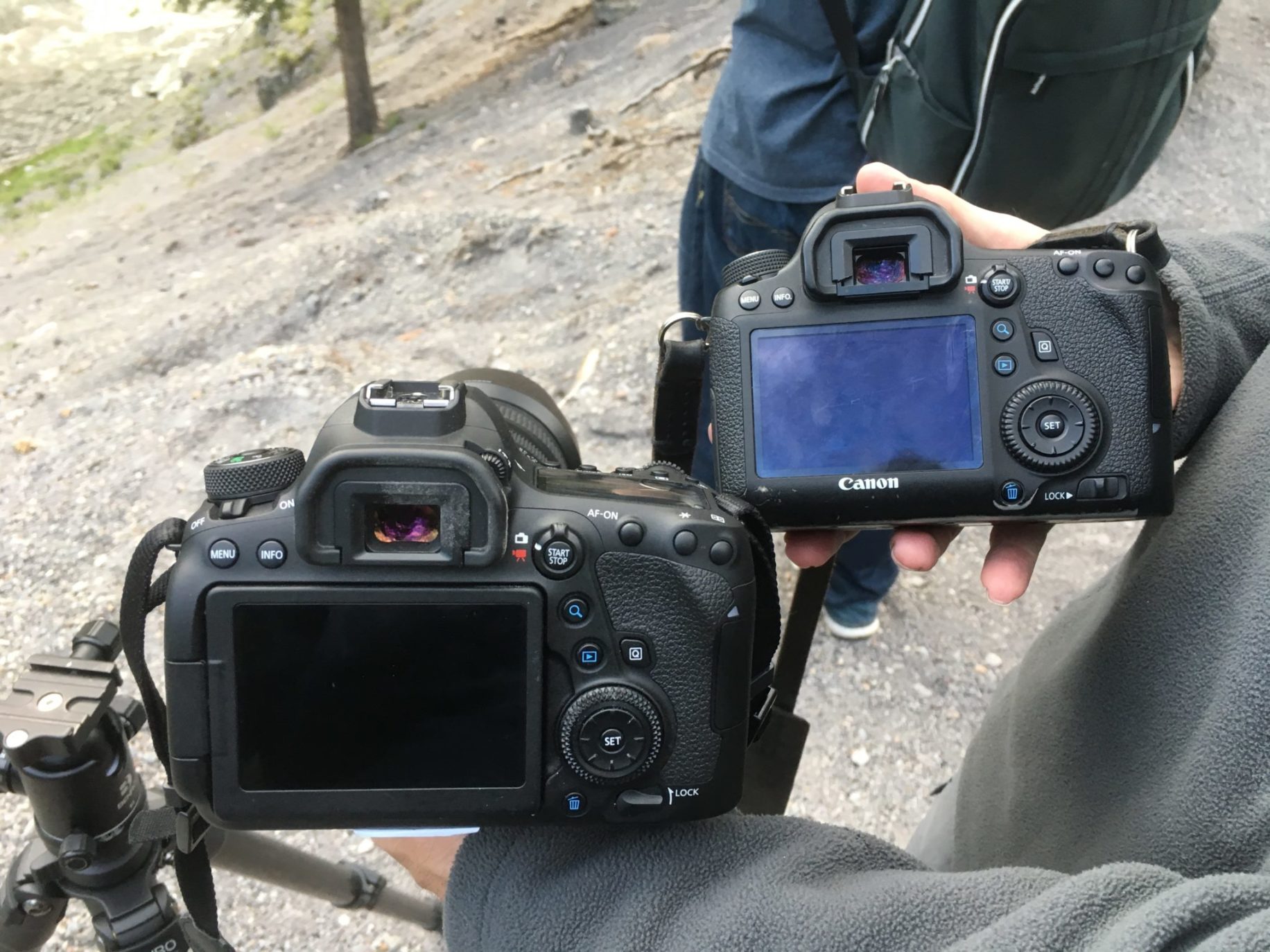 First Impressions: Canon 6D Mk II (In Use at Yellowstone National Park)