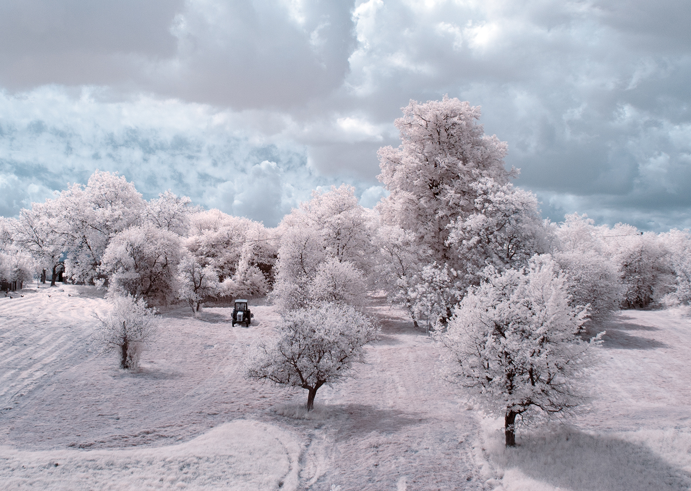 Przemyslaw Kruk Showcases the Surreal Beauty of Infrared Photography
