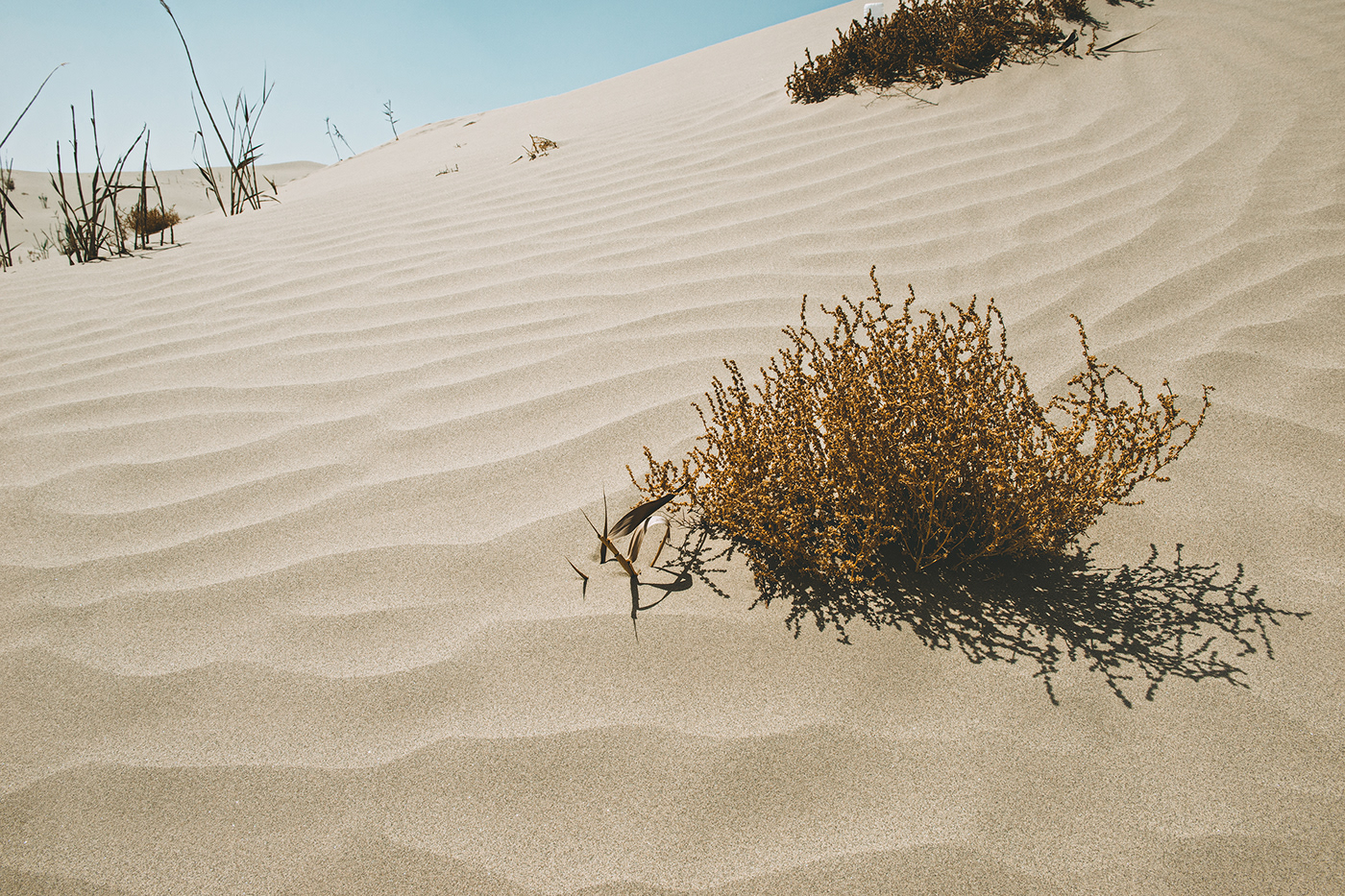 The Nature of Things in Light and Color: Minimalist Landscape ...