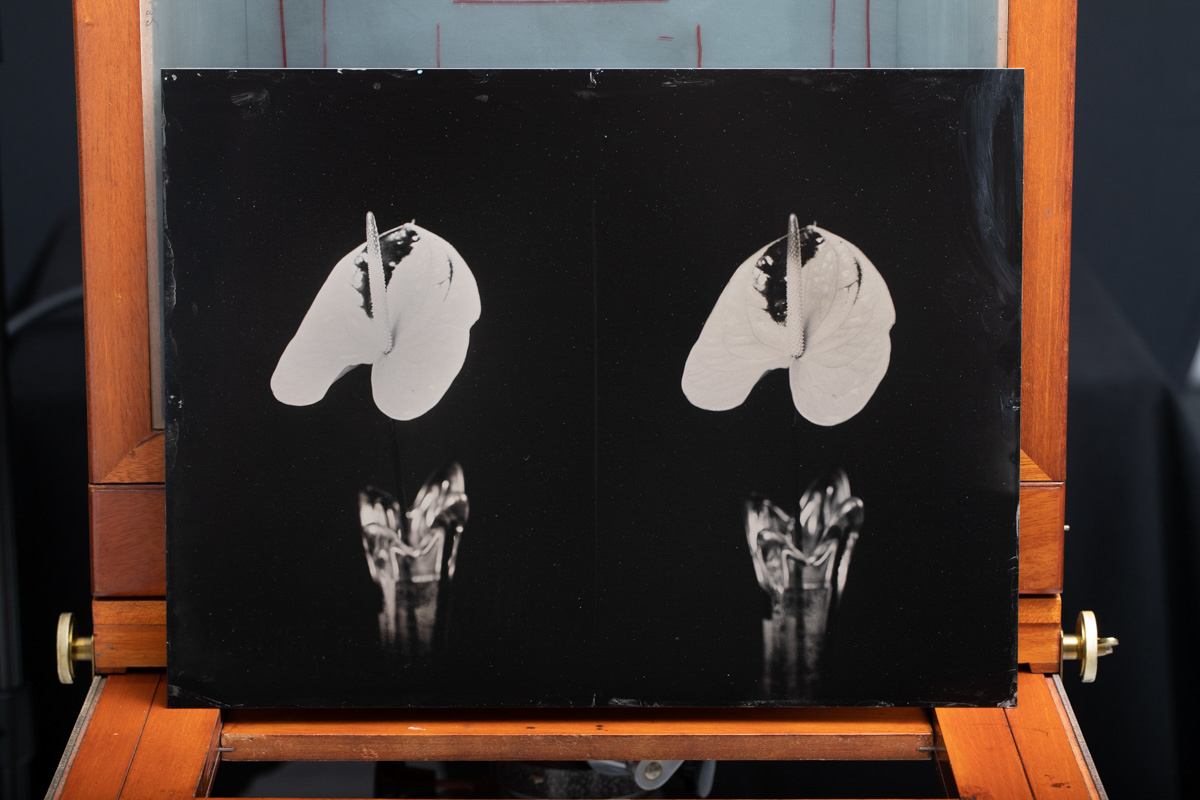 How Markus Hofstaetter Shot 3D Large Format Wet Plates