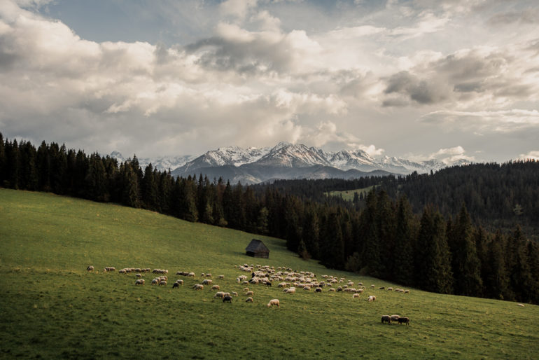 Justyna Zduńczyk Reveals the Idylls of the Polish Highlands
