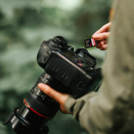 One of Western Digital's New SanDisk Cards Can Hold 1TB of Photos