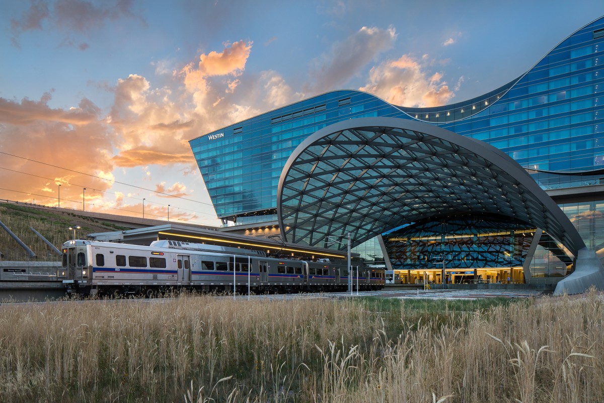 Check Out the Impressive Winning Photos of the 2019 APA Awards