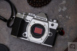Review: Olympus OMD EM5 Mark III (A Shrunken Down EM1 Mark II)