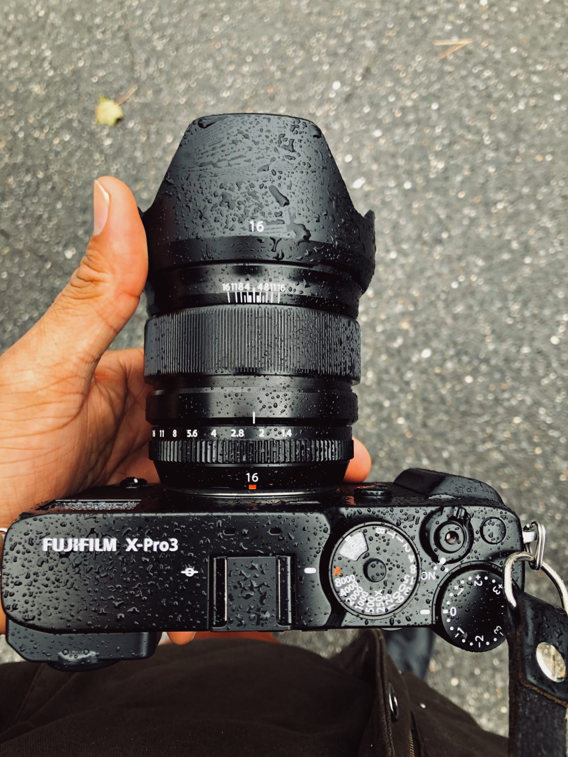 The Best Retro Digital Cameras Give New Tech an Old Soul - The ...