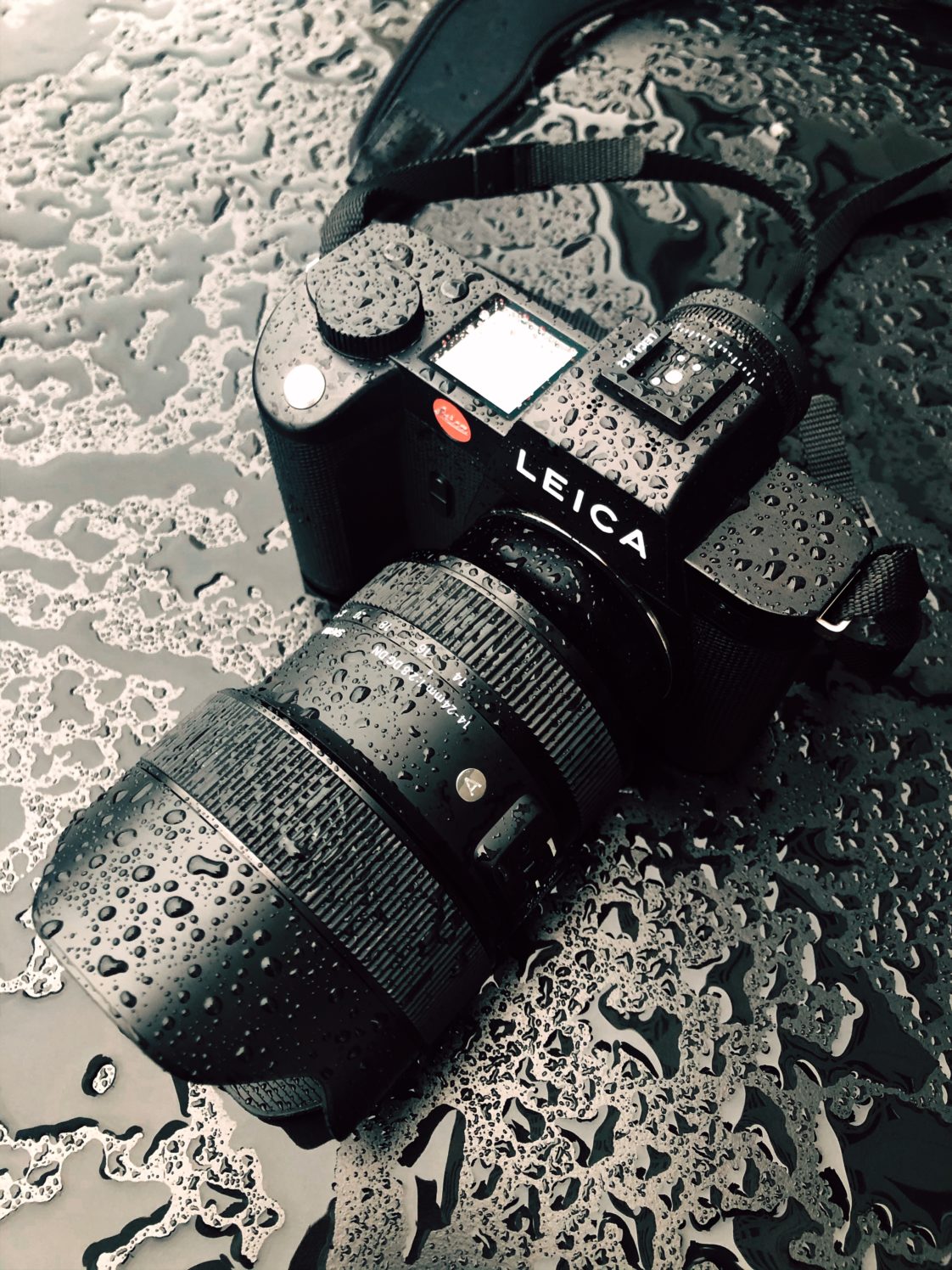 9 Mirrorless Weather Sealed Cameras That Love Being Outdoors