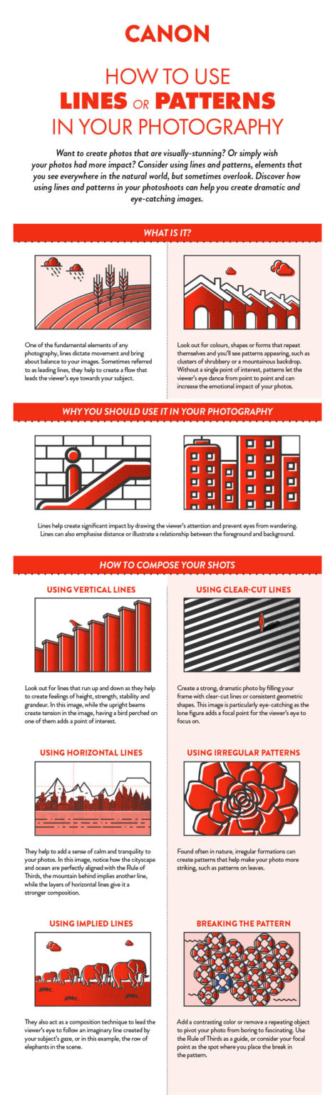 Photography Cheat Sheet: Composing Using Lines and Patterns
