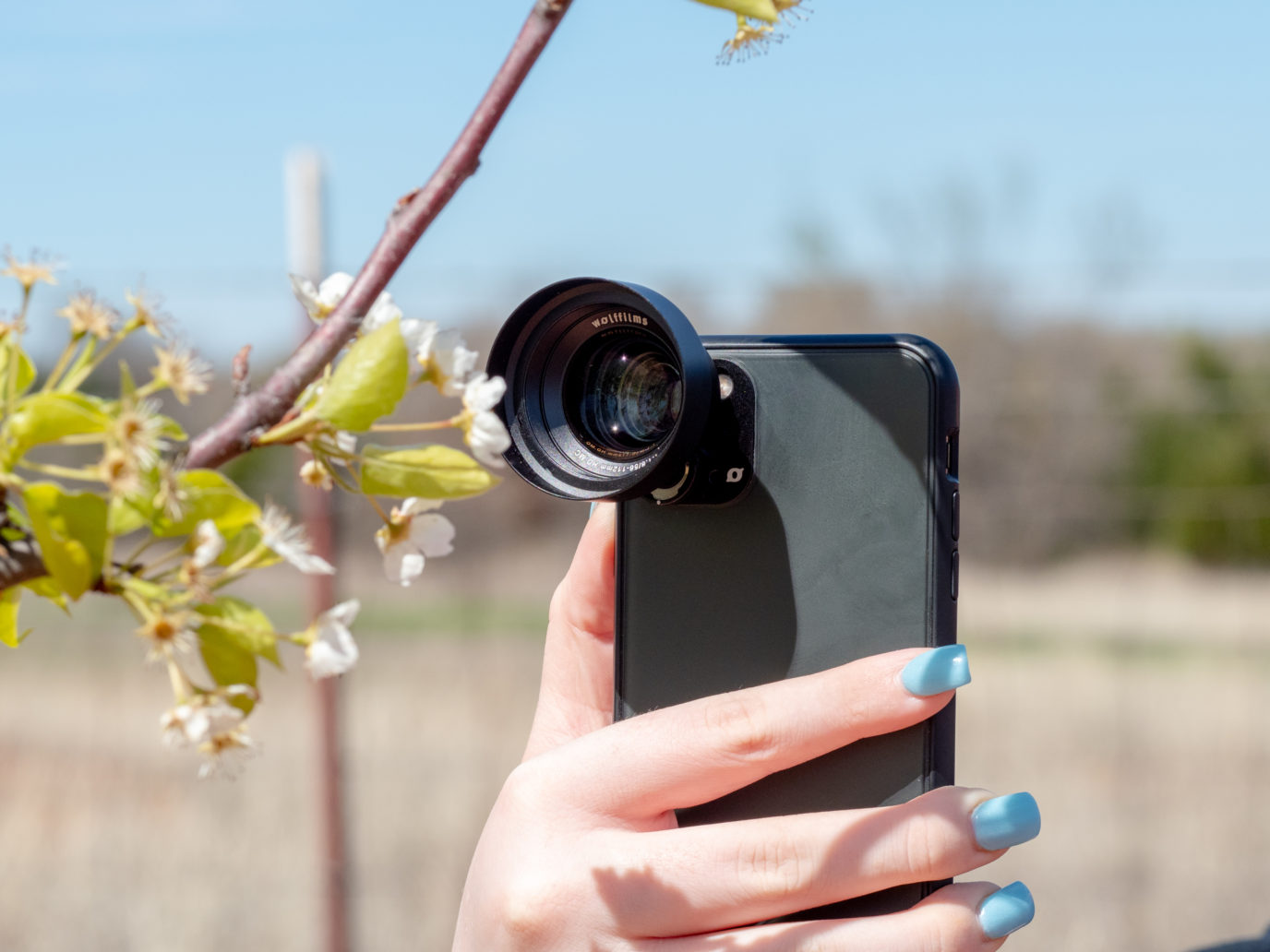What Every Phone Photographer Needs: Wolffilms Lenses Review