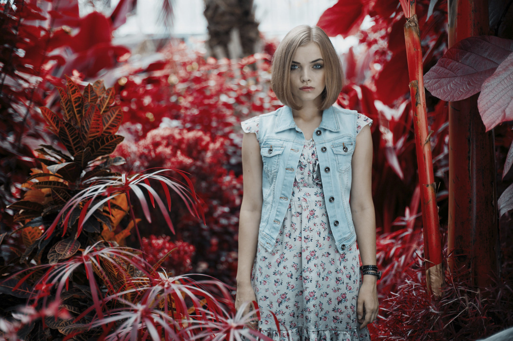 EXCLUSIVE: RNI Films is Working on Infrared Film Simulation Presets