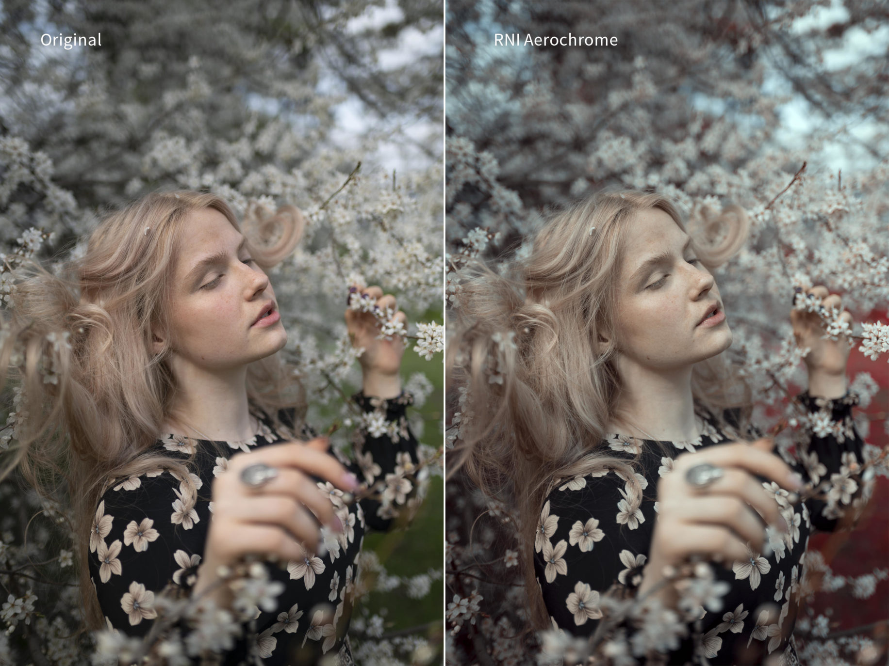 EXCLUSIVE: RNI Films is Working on Infrared Film Simulation Presets