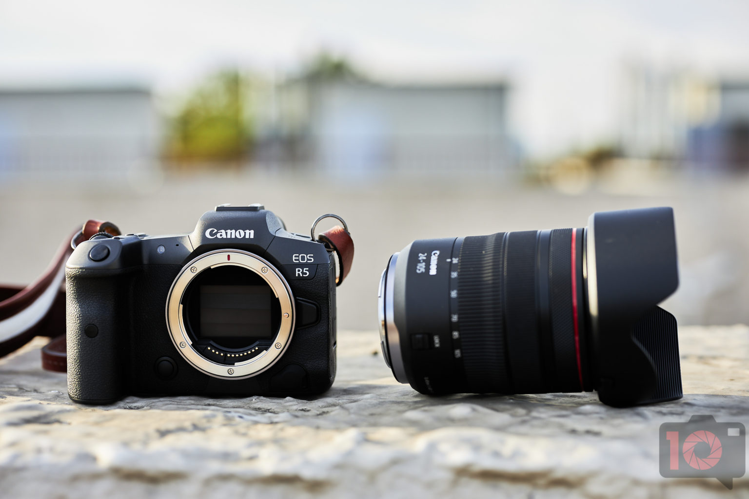 Canon Full Frame Cameras That Dominate Photo Competitions