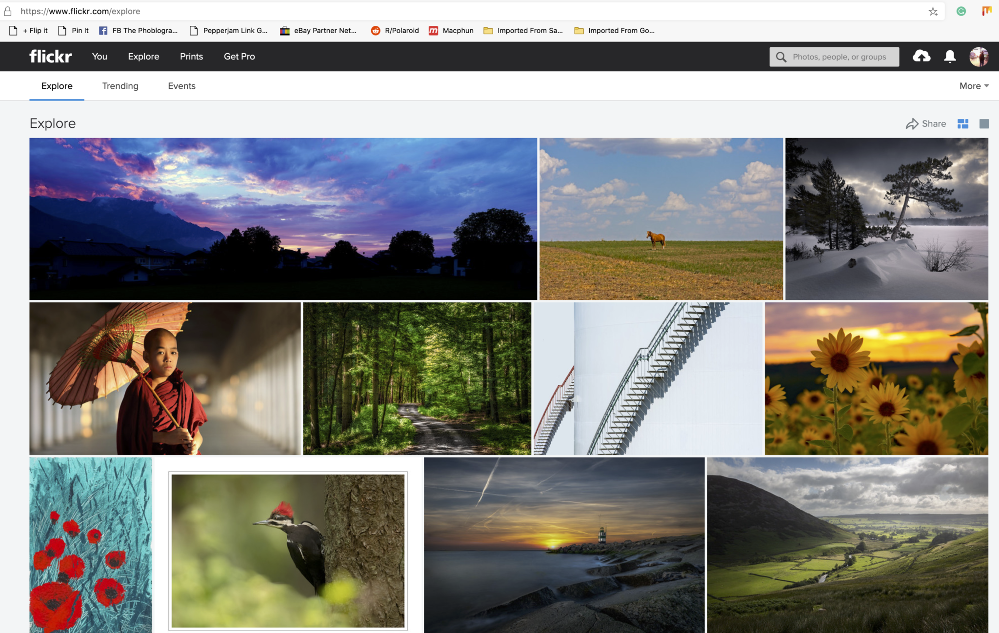 Flickr Has Been Home to Promiscuous and Pornographic Photos (NSFW)