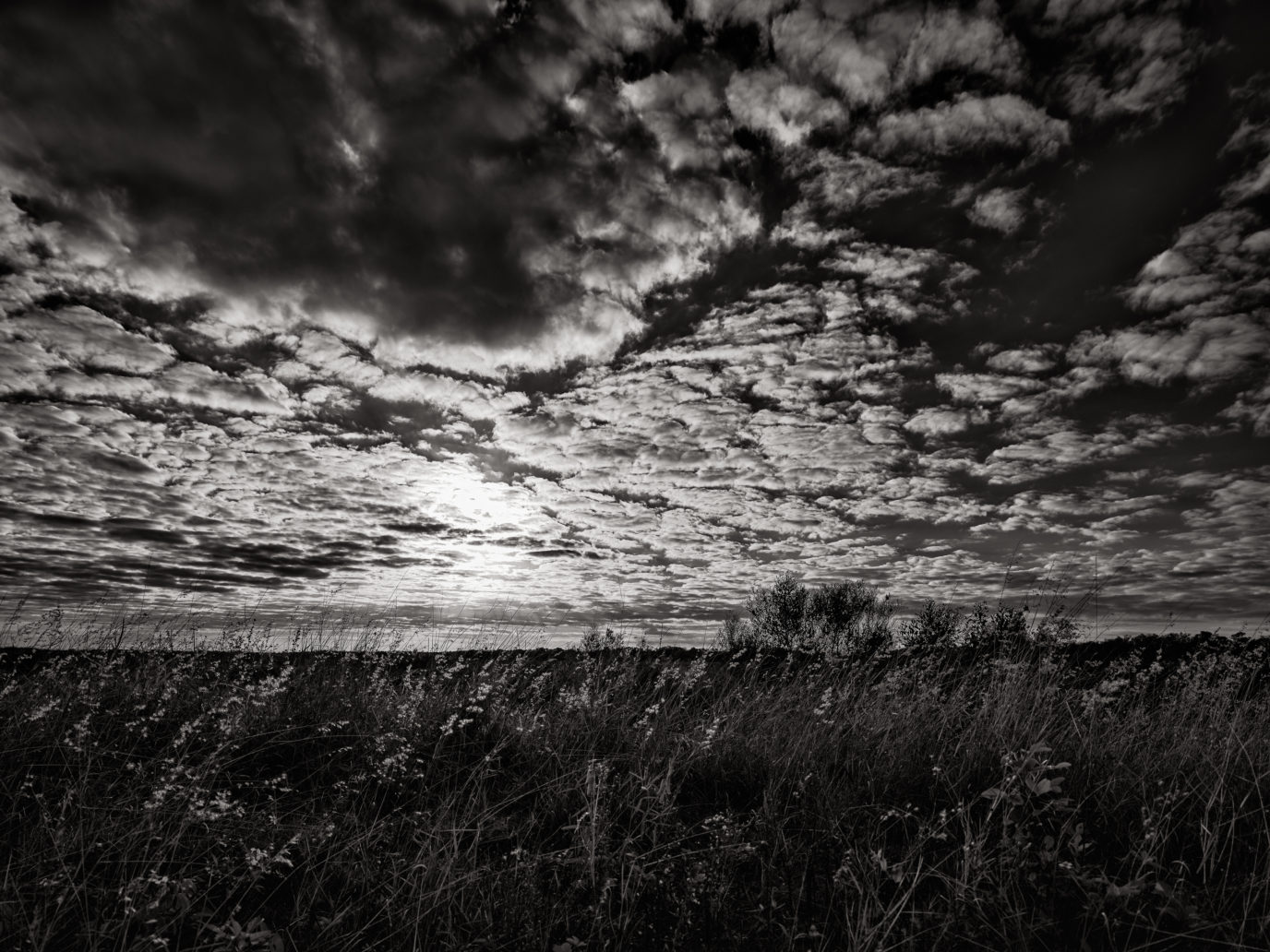 The 25 Best Landscape Photographers (See Our Interviews)