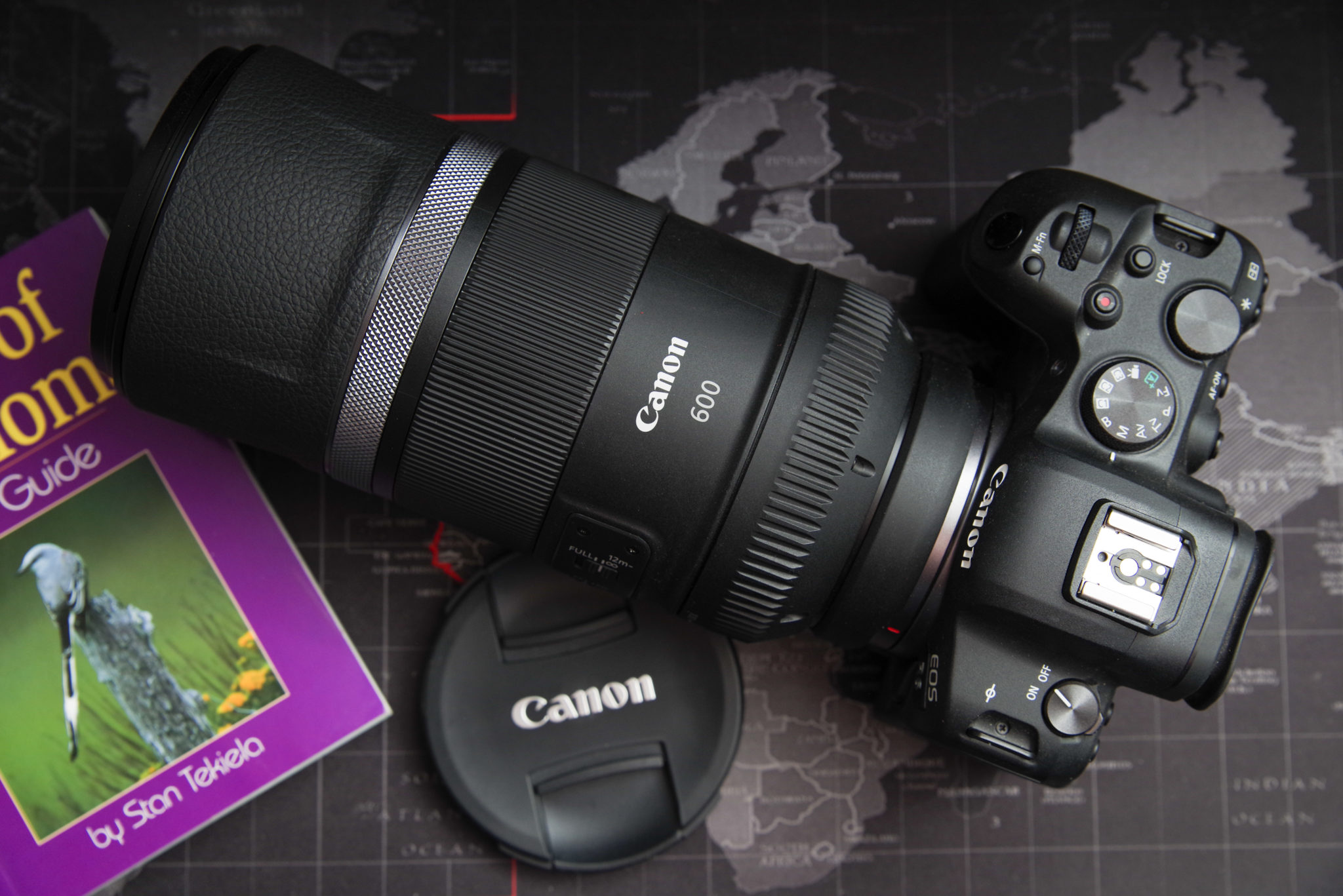 The Complete Guide to Canon RF Lenses