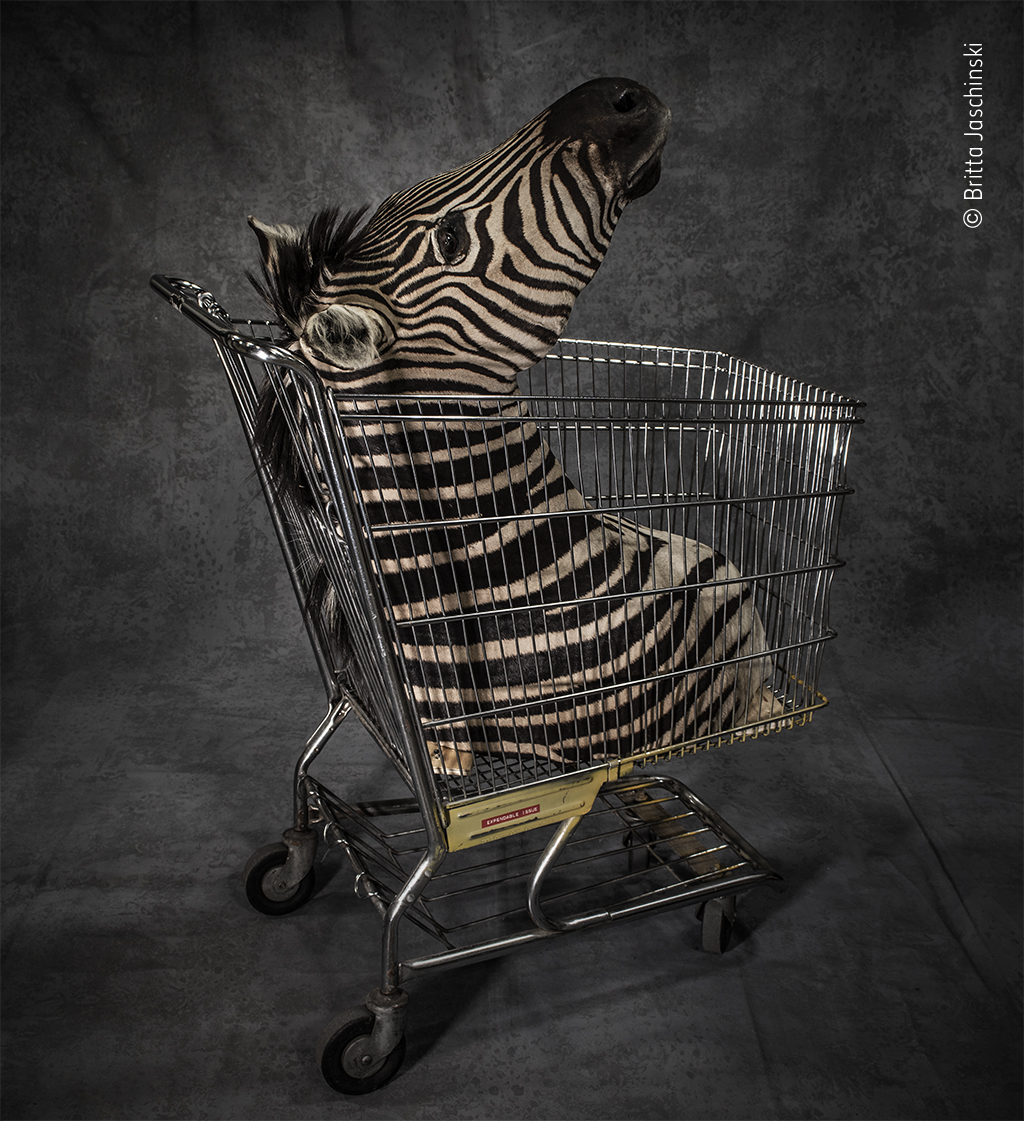The Cameras of the Wildlife Photographer of the Year People's Choice ...