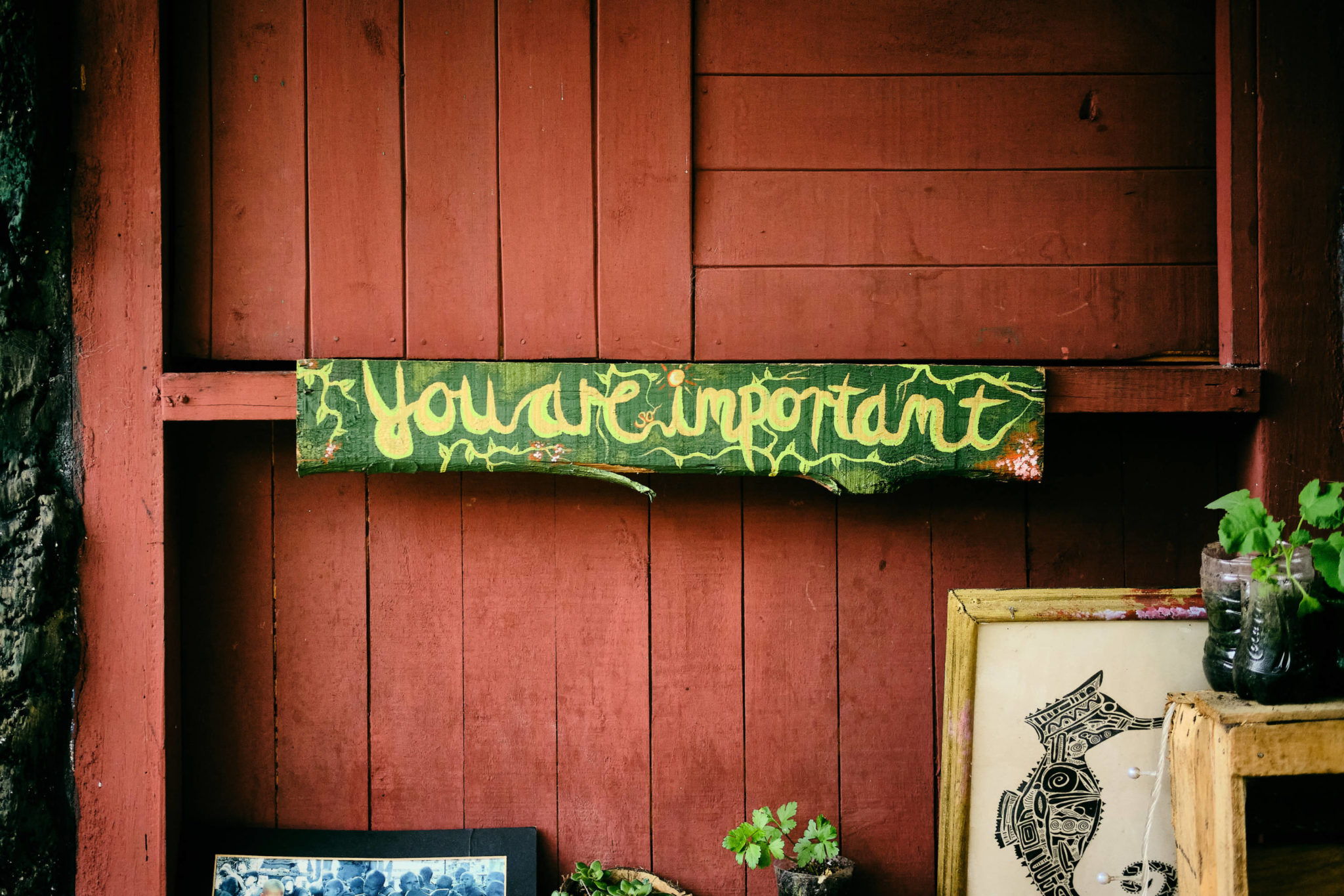 5 Uplifting Photography Stories to Give You a Boost of Positive Love