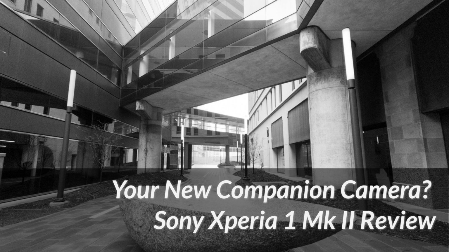 If You're a Sony User, You're Going to Love the Sony Xperia 1 II