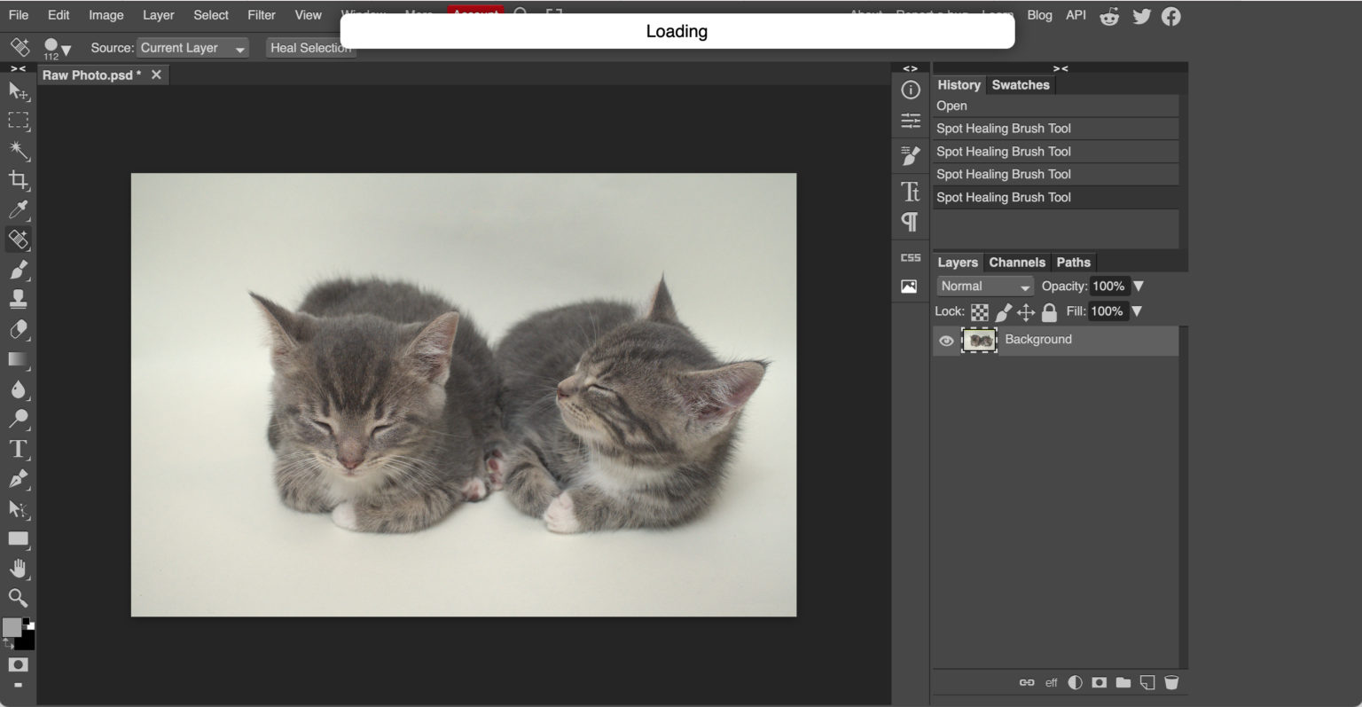 Photopea Review: Can a Free Photoshop Alternative Be Good?