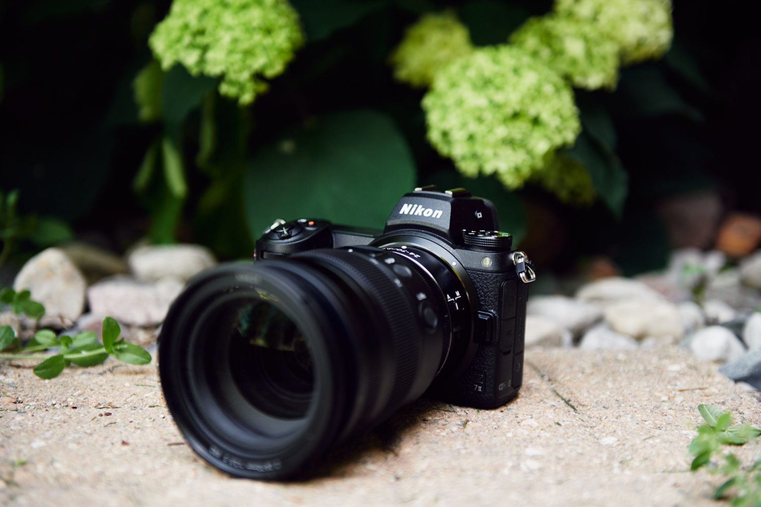 Will the Anticipated Nikon Z7 III Feature a New Sensor?