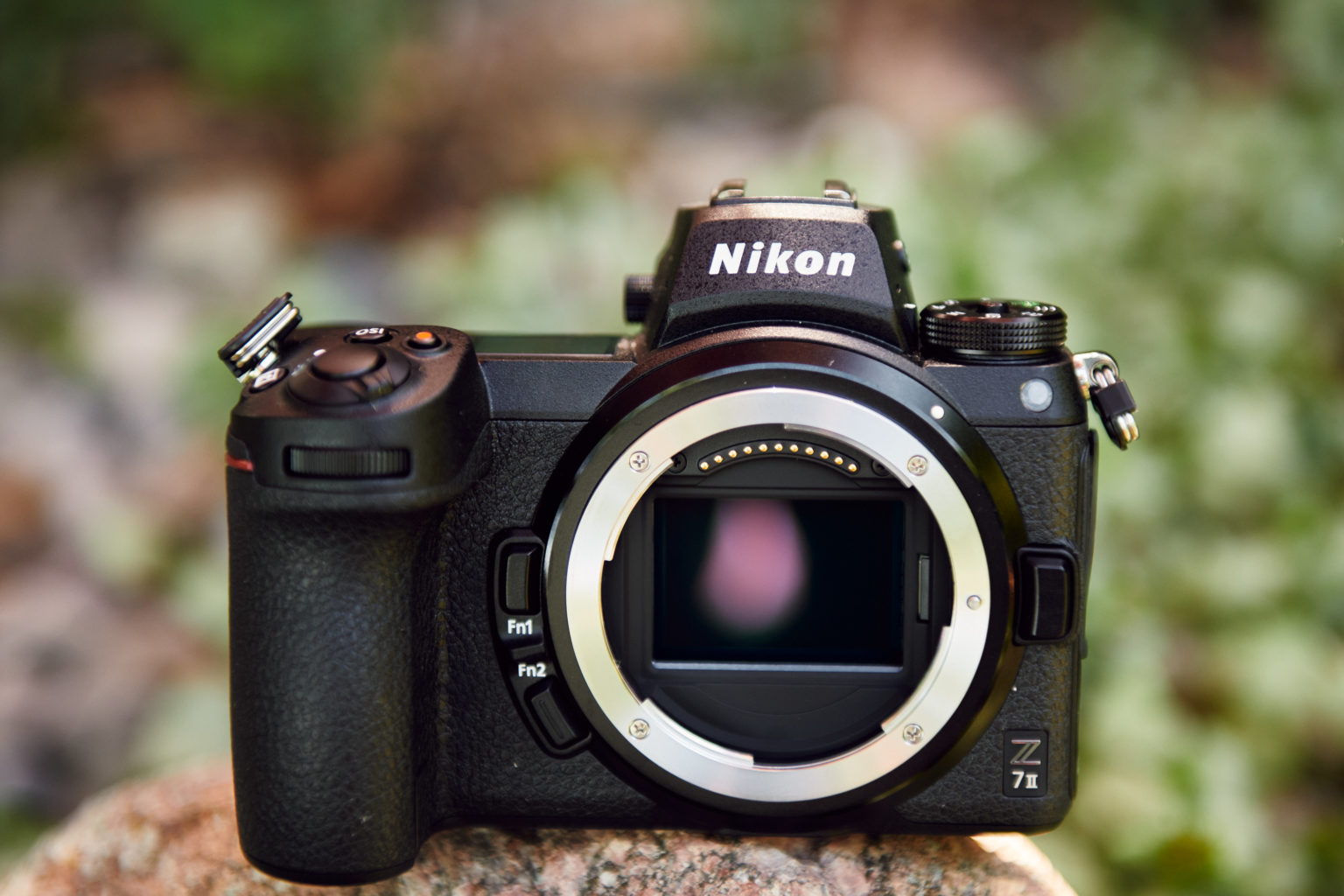 The Best Cameras for Bird Photography to Buy Used and Cheap