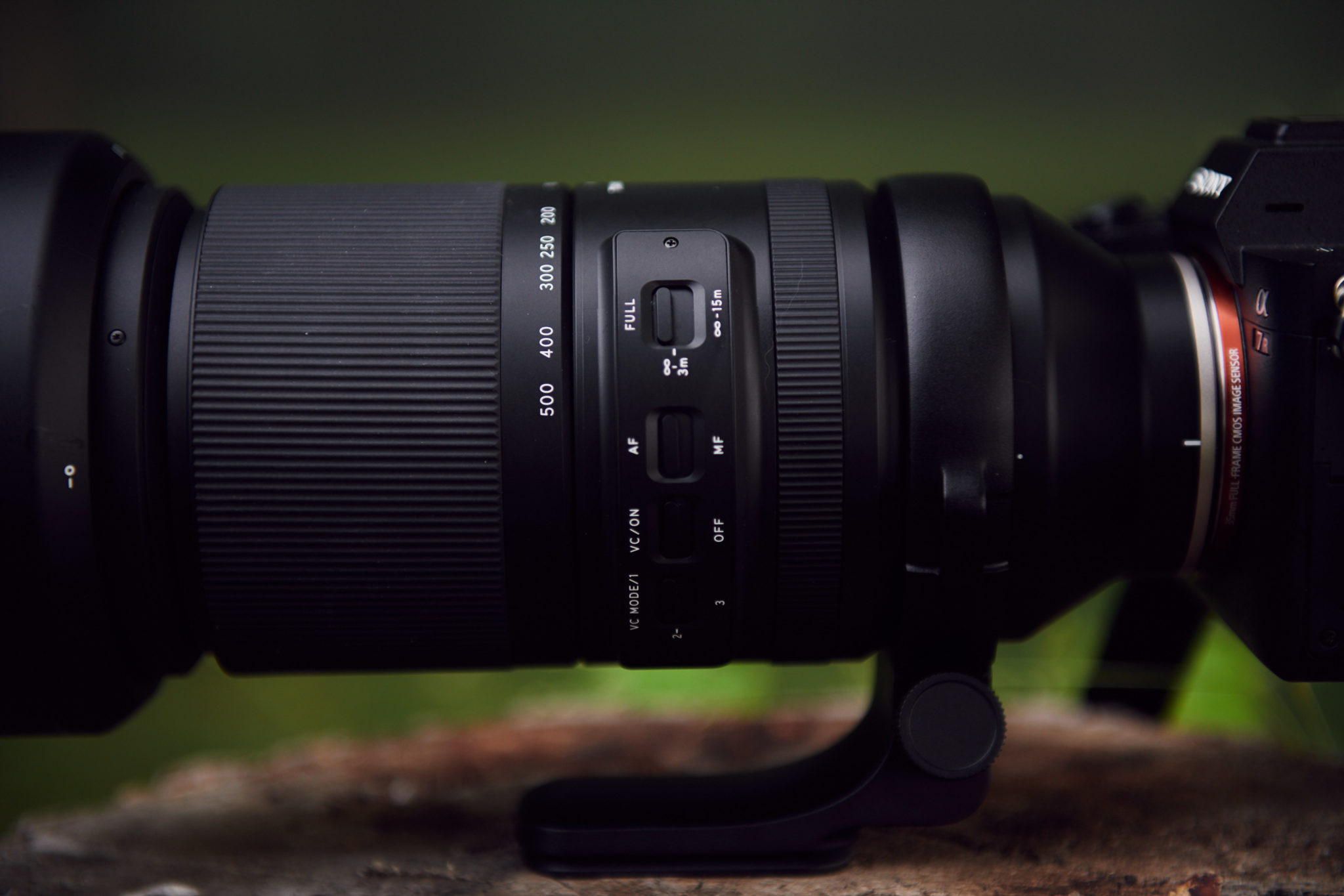 3 Lightweight Lenses for Bird Photography That Photographers Will Love