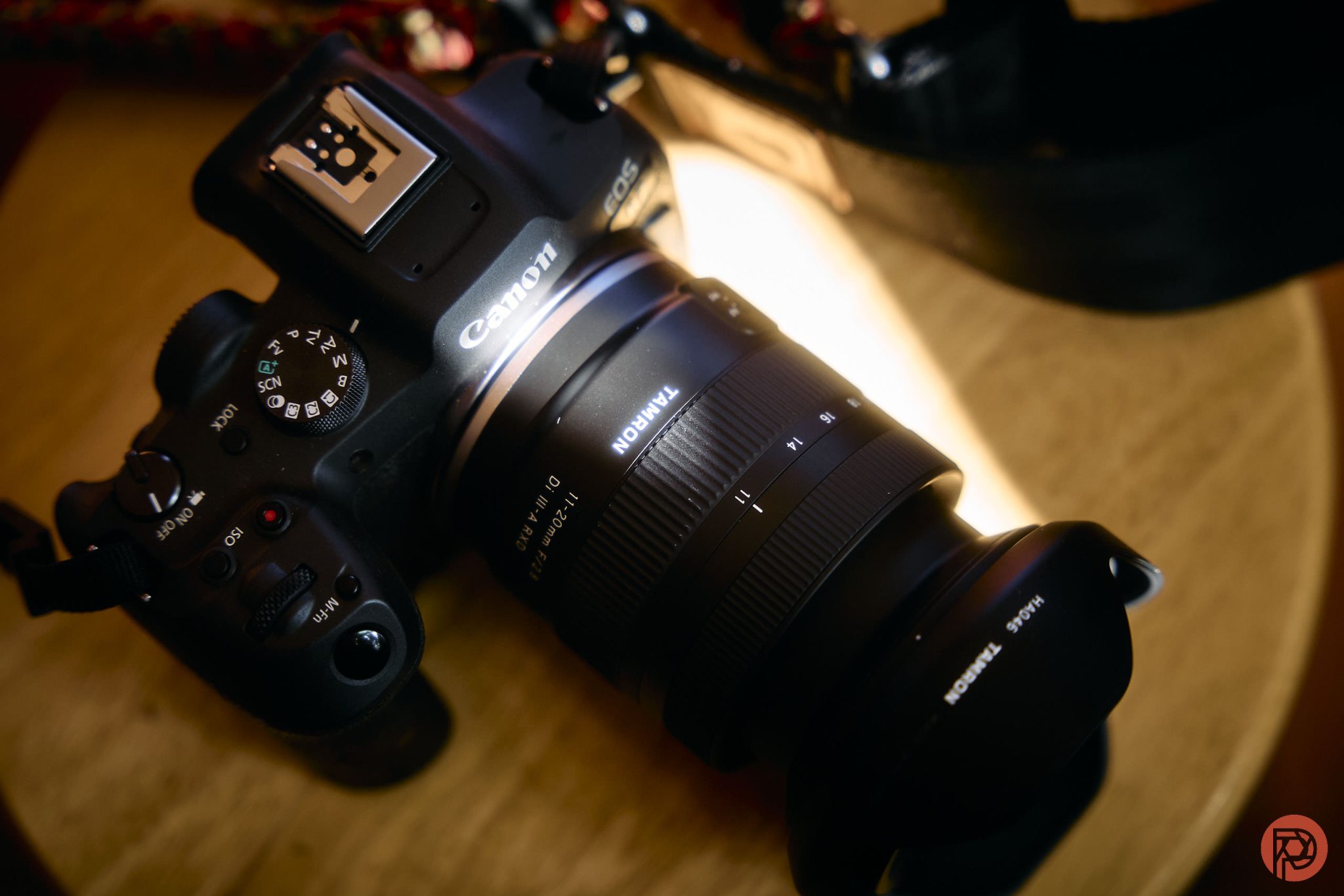 The Camera Market Will Thrive with Some Curious Trends