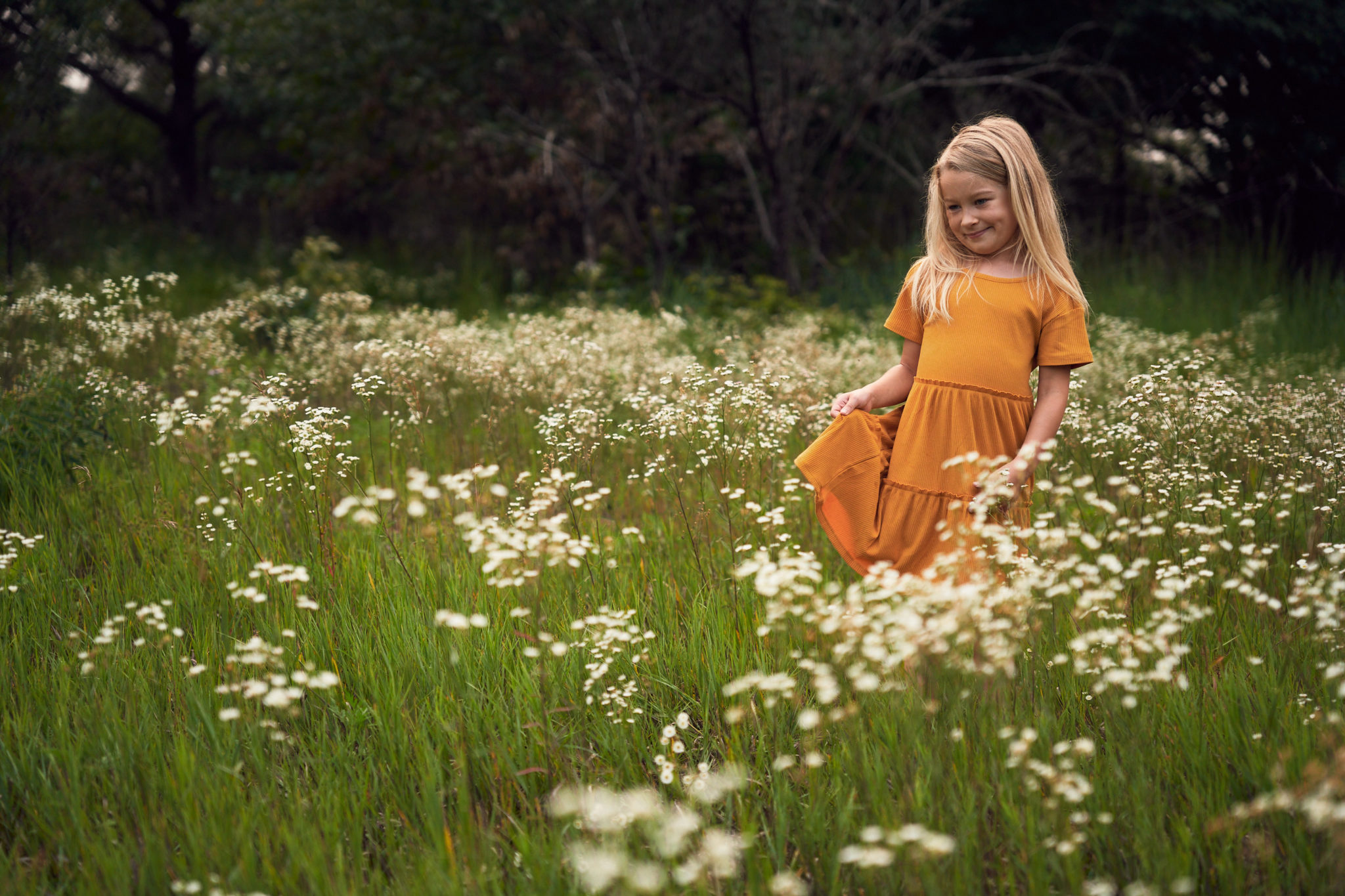 Sturdy Workhorse, or One-Trick Pony? Sigma 28-70mm f2.8 Review
