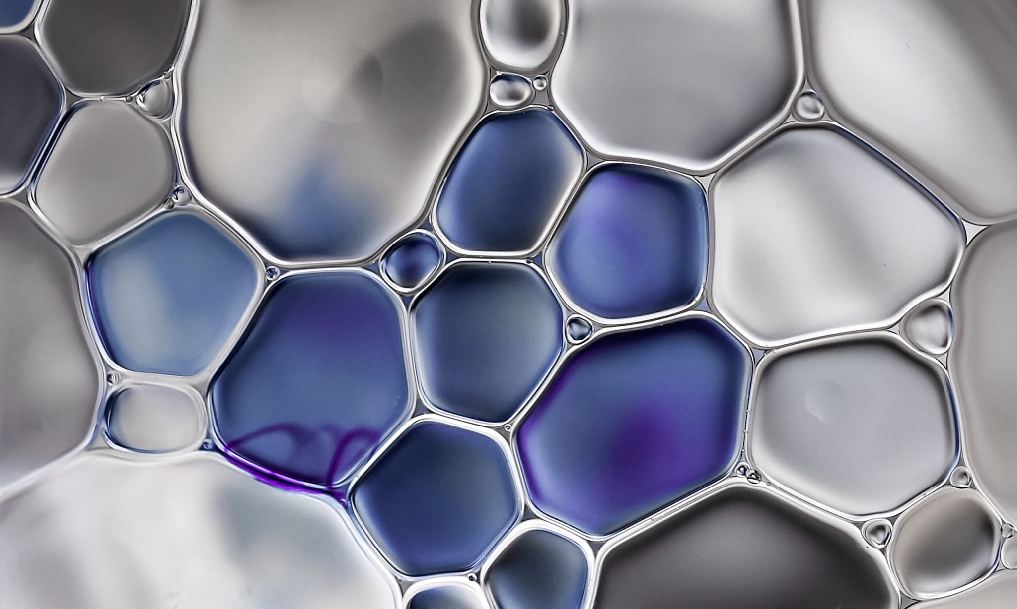 How Karyn Easton Captures Mesmerizing Photos of Oil and Water