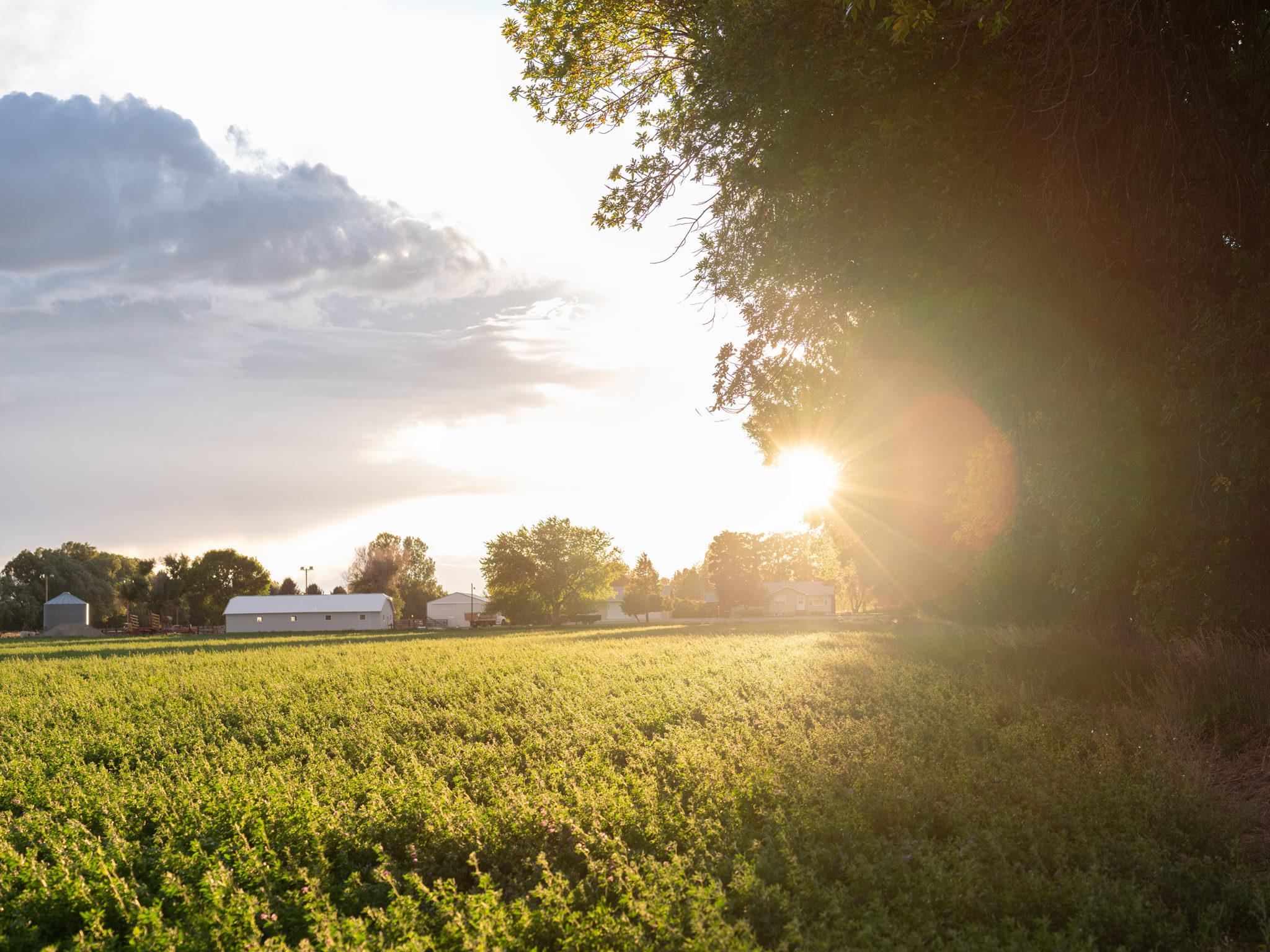 The Best Fujifilm Cameras for Landscape Photography