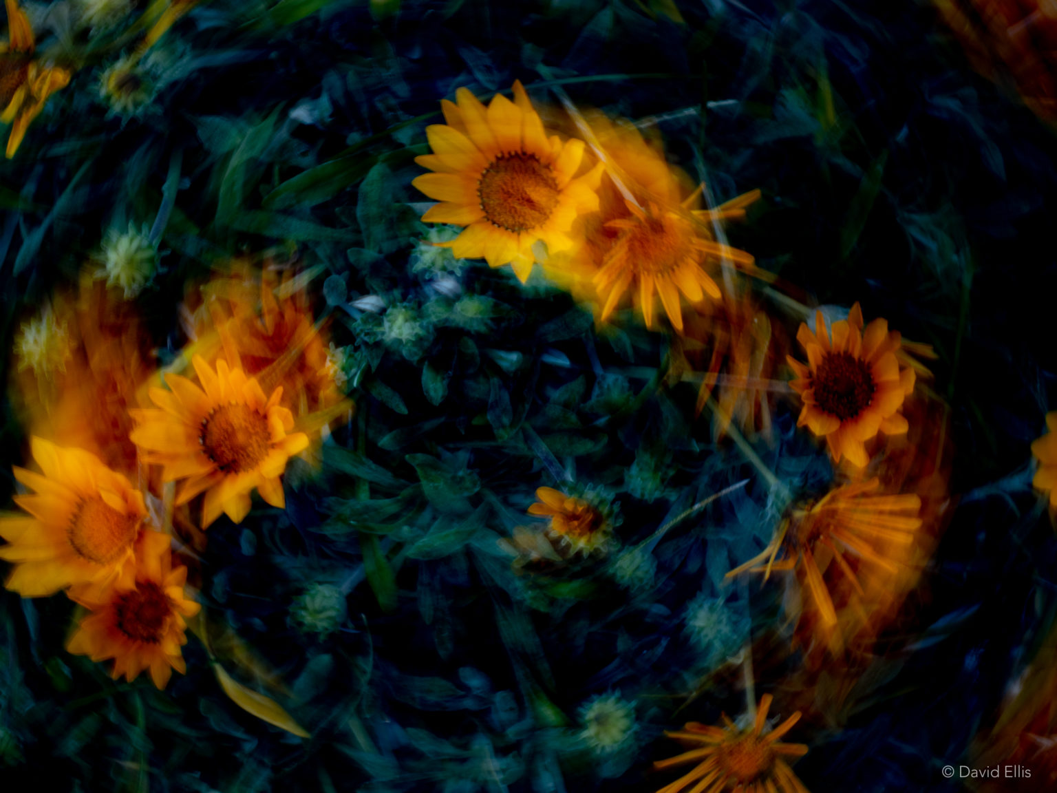 5 Awesome Examples of Creative Photography to do When Bored!