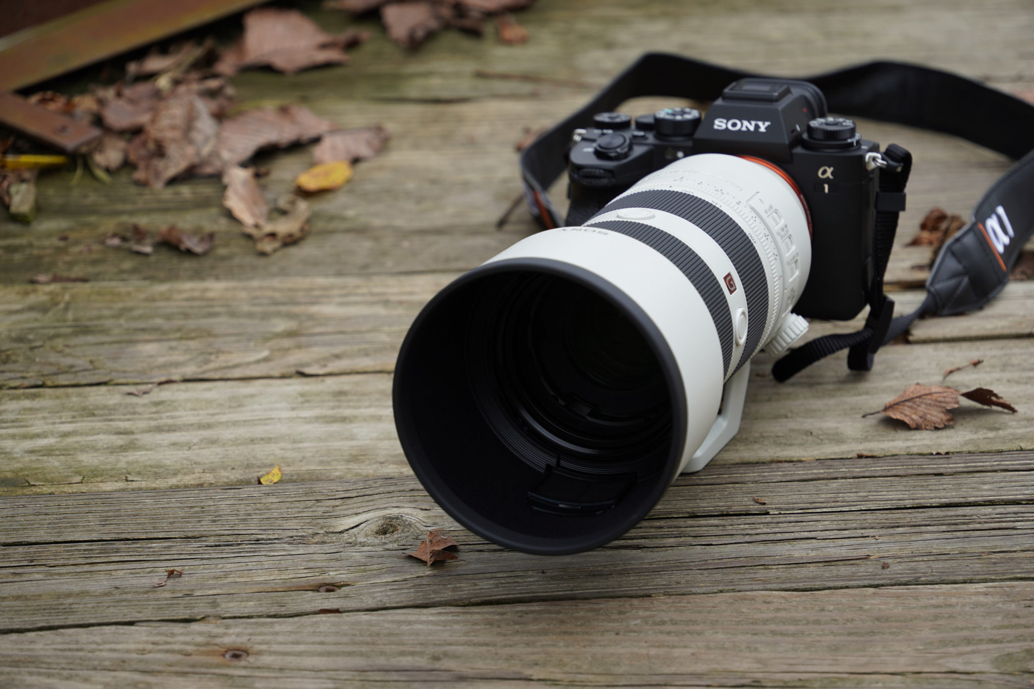 The Best Zoom Lenses for Professional Sony Photographers
