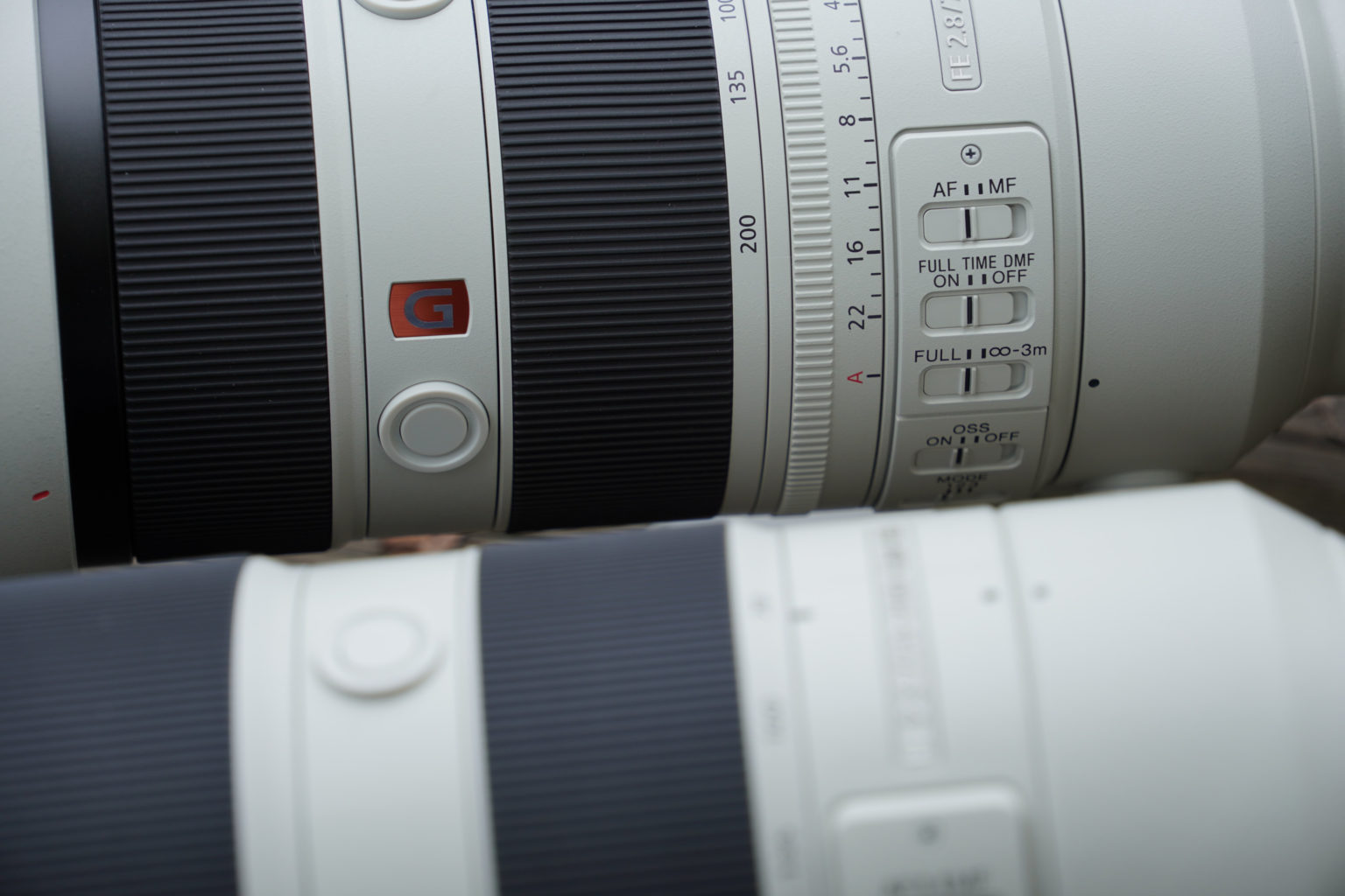 Tested: Which Sony 70-200mm F2.8 GM OSS is Better?