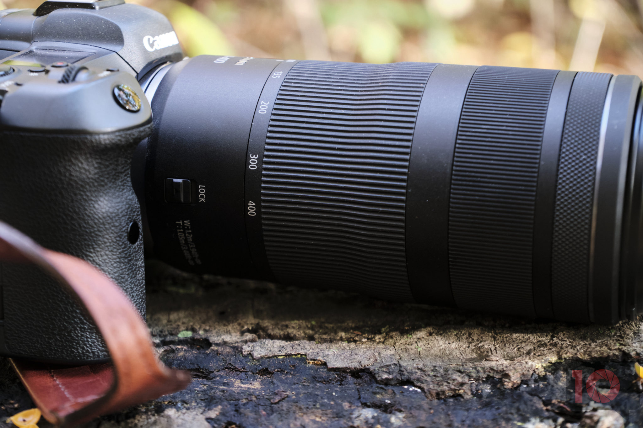 Good For Birds? Canon RF 100-400mm f5.6-8 IS USM Review