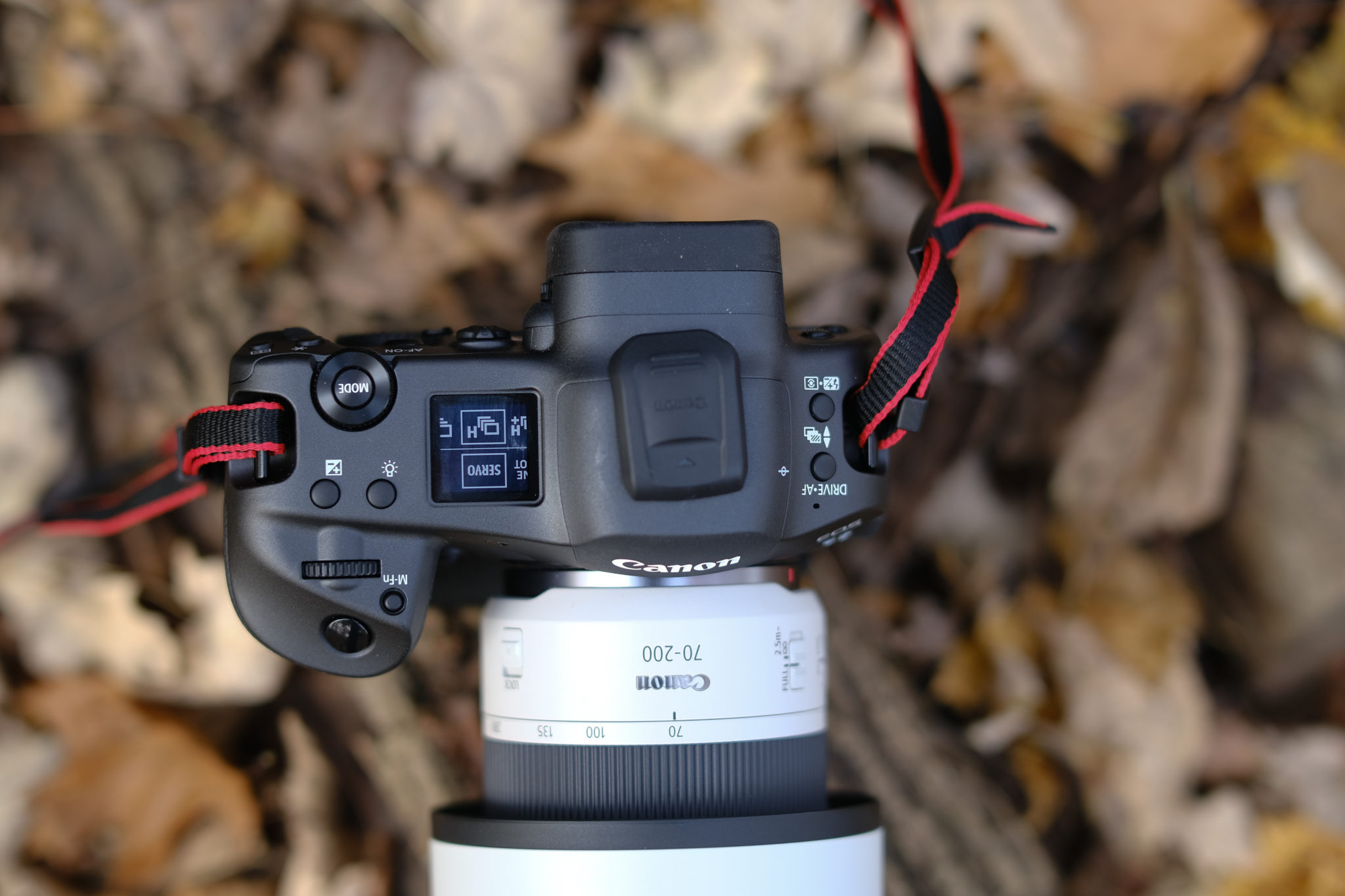 Love at First Sight? Canon EOS R3 First Impressions