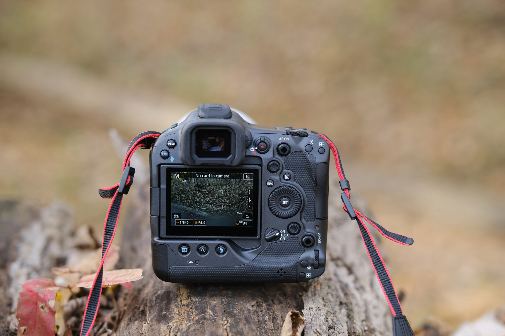 Love at First Sight? Canon EOS R3 First Impressions