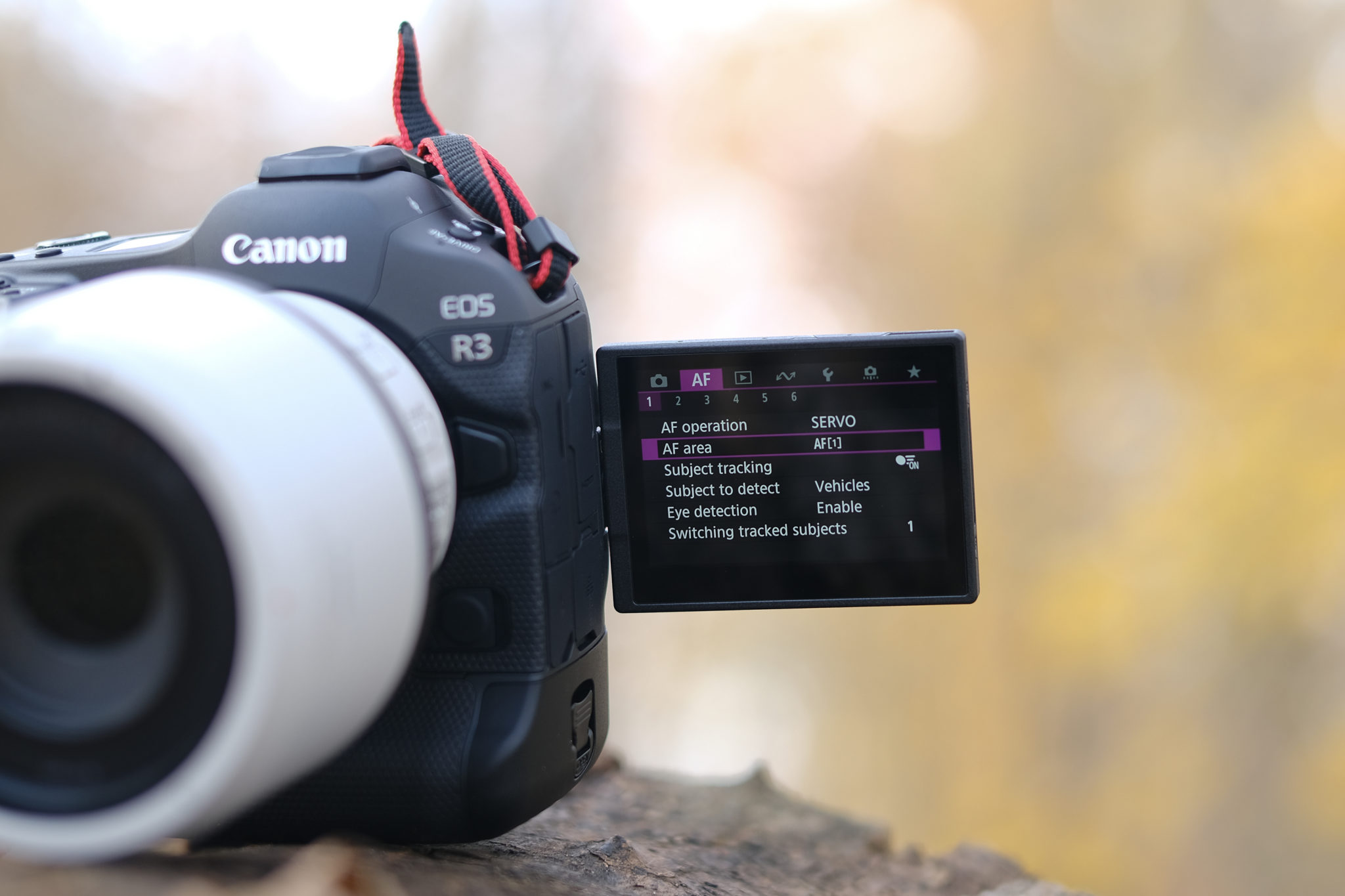 Canon EOS R3 Review: A Remarkable AF, Low Light Jackpot