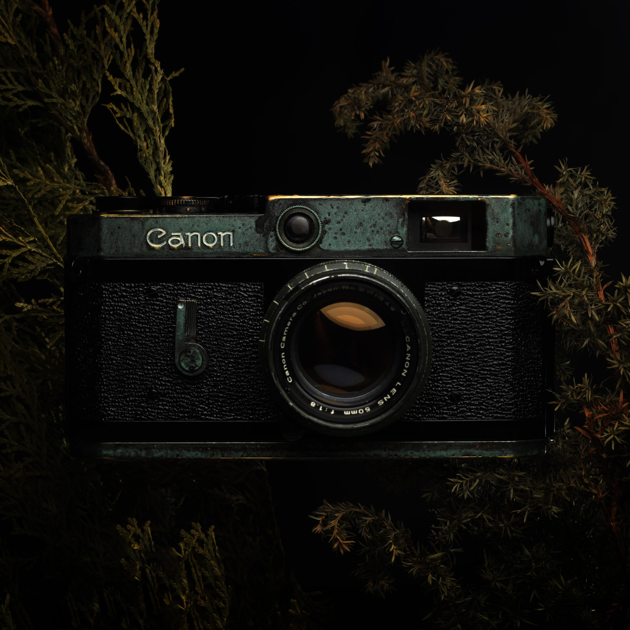 The Beautiful Work of the Folks Who Do Camera Customization
