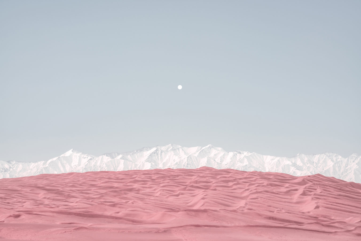 Jonas Daley Takes Us on a Journey Inside His Infrared Imagination