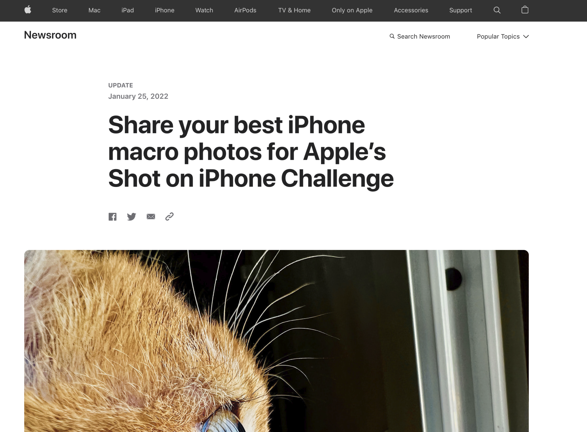 Apple's Shot on iPhone Contest Has a Big Problem