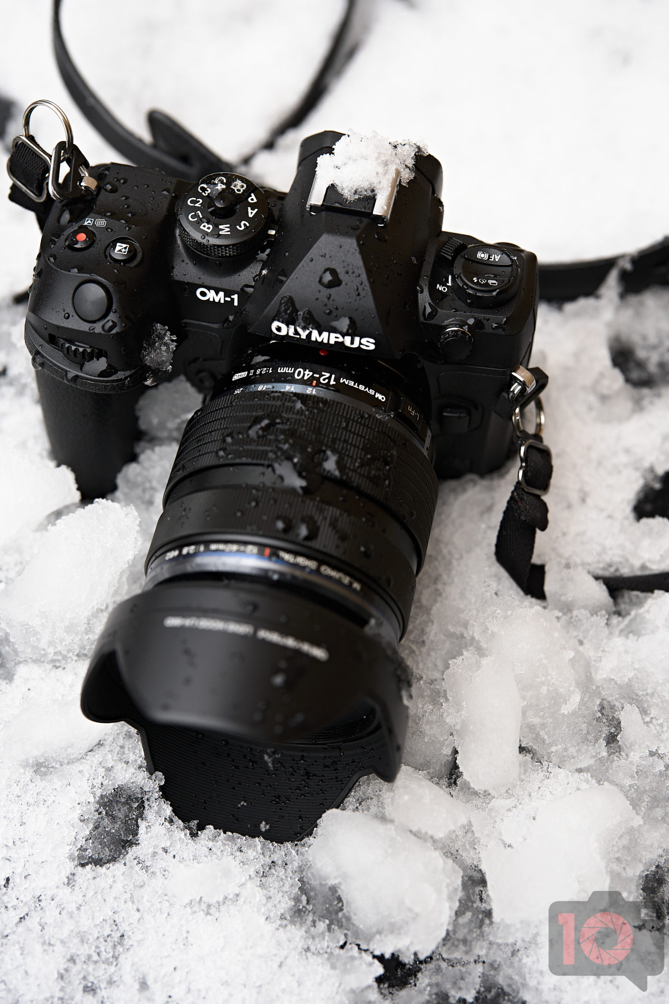 The Best Cameras with Animal Detection at Every Budget