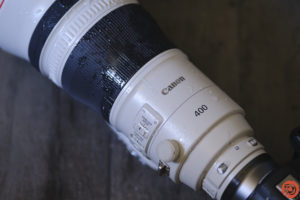 The Complete Guide to Canon RF Lenses