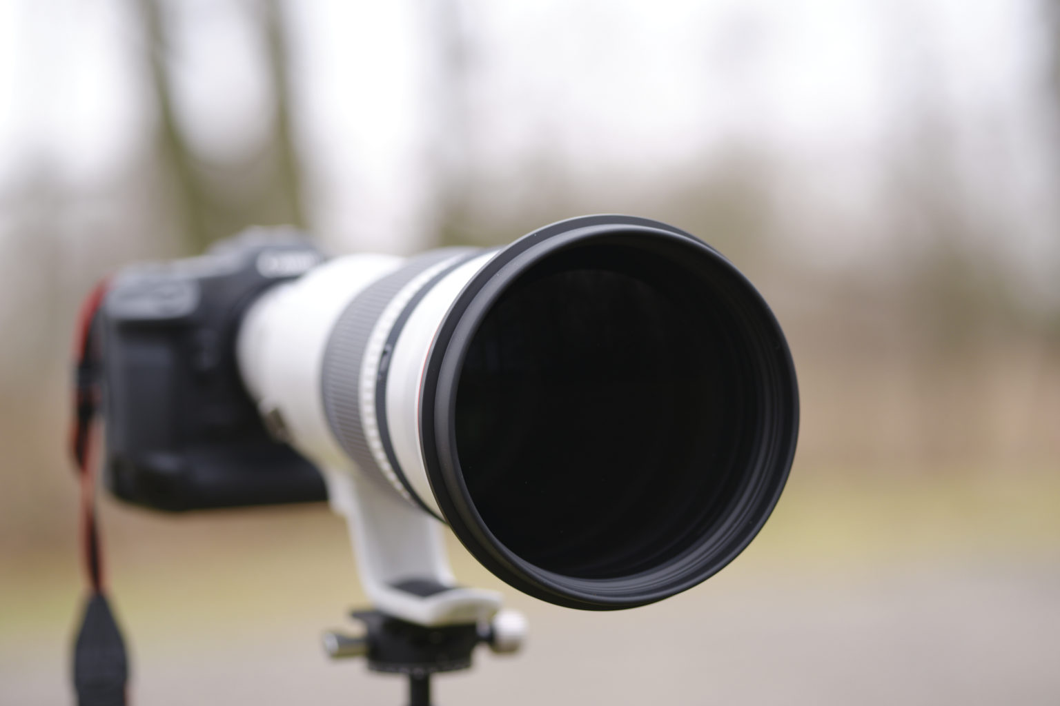 The Best Canon Rf L Lens Guide for Every Photographer
