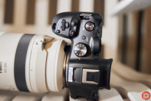 Canon EOS R7 Review. One of the Best Cameras This Year