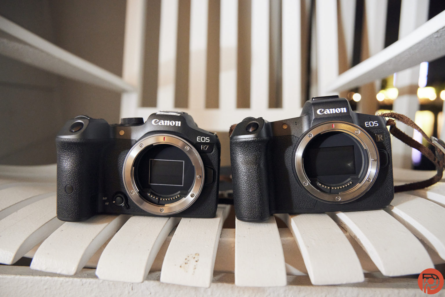 APS-C Cameras Are More Exciting Than They Ever Were